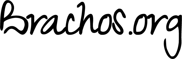 What Bracha do you make on Buckwheat Pancakes? | Brachos.org